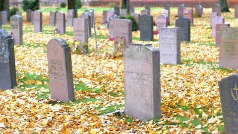 Many graves with autumn leaves lying on ... | Stock Video | Pond5