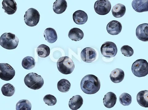 Many ripe blueberries falling on light blue background ~ Premium Photo ...
