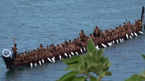 Waka Stock Footage ~ Royalty Free Stock Videos | Pond5