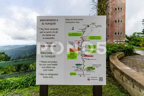 Map of El Yunque National Forest with Yohaku Tower in Background ~ Hi ...