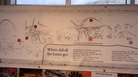 A map showing where all the Dinosaur fos... | Stock Video | Pond5