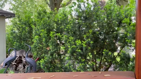 Rain Keyable Stock Footage ~ Royalty Free Stock Videos | Pond5