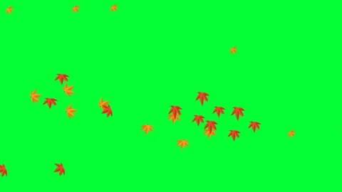 maple leaves falling background and 2d a... | Stock Video | Pond5