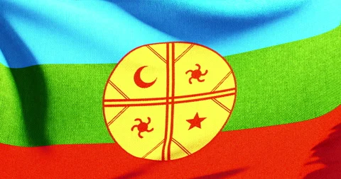 Mapuche Nation Flag in a 3D animation | Stock Video | Pond5
