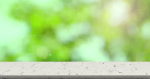 Tree Branch Podium Stock Videos – Royalty-Free HD & 4K Videos