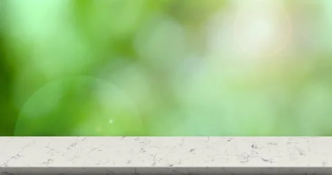 Tree Branch Podium Stock Videos – Royalty-Free HD & 4K Videos