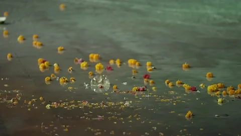 Marigold Flowers Washed On Ganges Shore ... | Stock Video | Pond5