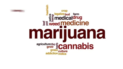 Marijuana animated word cloud, text desi... | Stock Video | Pond5
