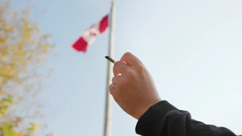 Weed Flag Stock Footage ~ Royalty Free Stock Videos | Pond5