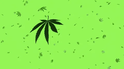 Leaves Green Screen Stock Video Footage | Royalty Free Leaves Green ...