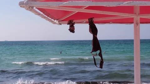 Beach Bra Stock Videos – Royalty-Free HD & 4K Videos | Pond5
