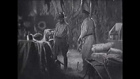 Captured and Taken Stock Videos – Royalty-Free HD & 4K Videos