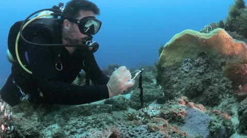 Citizen X Stock Videos – Royalty-Free HD & 4K Videos