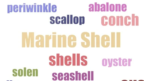 Marine Shell Tag Cloud Animated Isolated... | Stock Video | Pond5