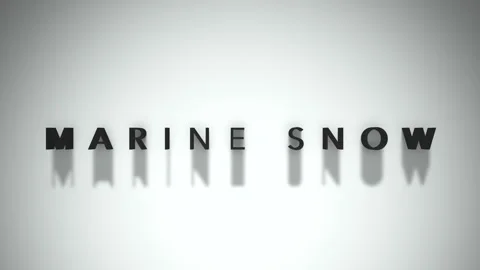 Plankton Animation Stock Footage ~ Royalty Free Stock Videos | Pond5