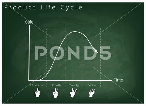 Marketing Concept of Product Life Cycle Graph Chart: Royalty Free #69987878
