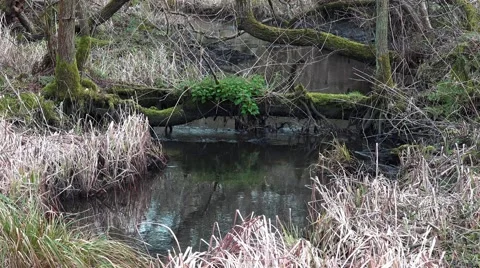 Scenery From 1 Stock Videos – Royalty-Free HD & 4K Videos | Pond5