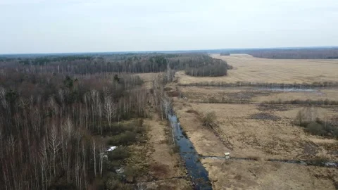 Wildlife Photography Stock Footage ~ Royalty Free Stock Videos | Pond5