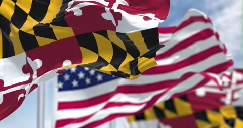 Maryland state flags waving along with t... | Stock Video | Pond5