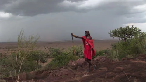 Plant Rock Song Stock Videos – Royalty-Free HD & 4K Videos | Pond5