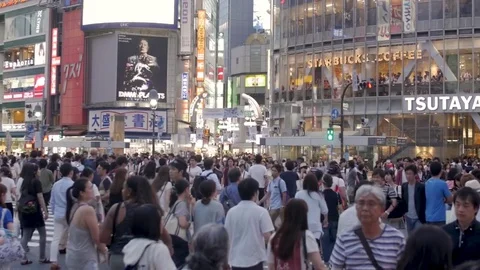 Overpopulation Stock Video Footage | Royalty Free Overpopulation Videos ...