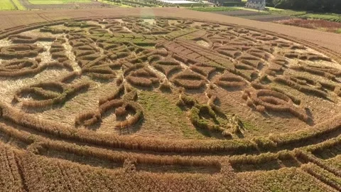 Massive Crop Circle Drone View, Ansty, W... | Stock Video | Pond5