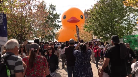 Massive crowds for world's largest infla... | Stock Video | Pond5