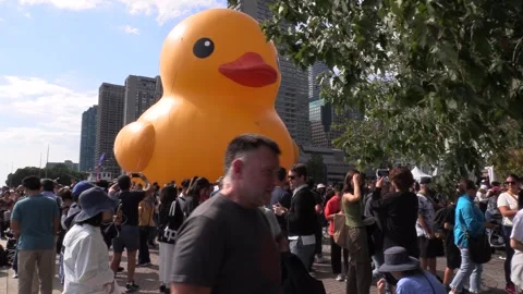 Massive crowds for world's largest infla... | Stock Video | Pond5