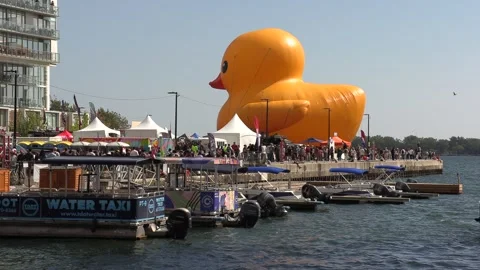 Massive crowds for world's largest infla... | Stock Video | Pond5