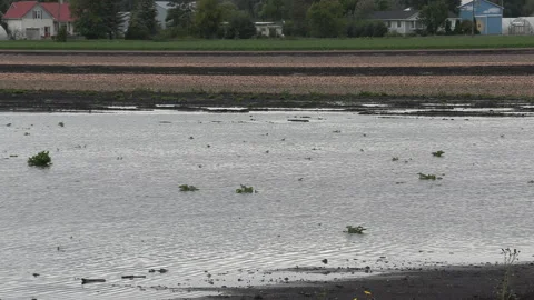 Massive flooding of farm fields full of ... | Stock Video | Pond5