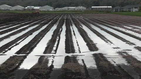 Massive flooding of farm fields full of ... | Stock Video | Pond5