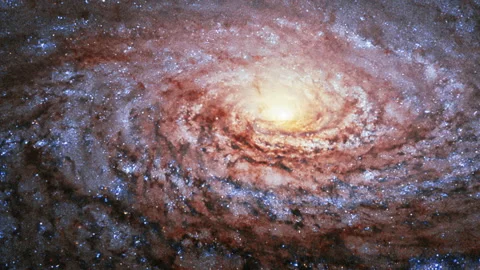 Star Full Stock Videos – Royalty-Free HD & 4K Videos