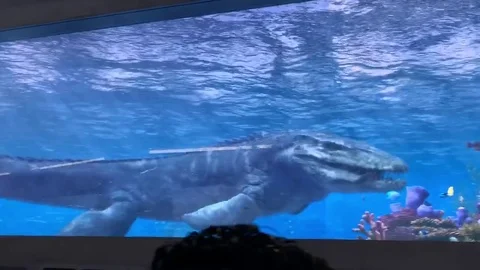 A massive Mosasaurus swimming in a large... | Stock Video | Pond5