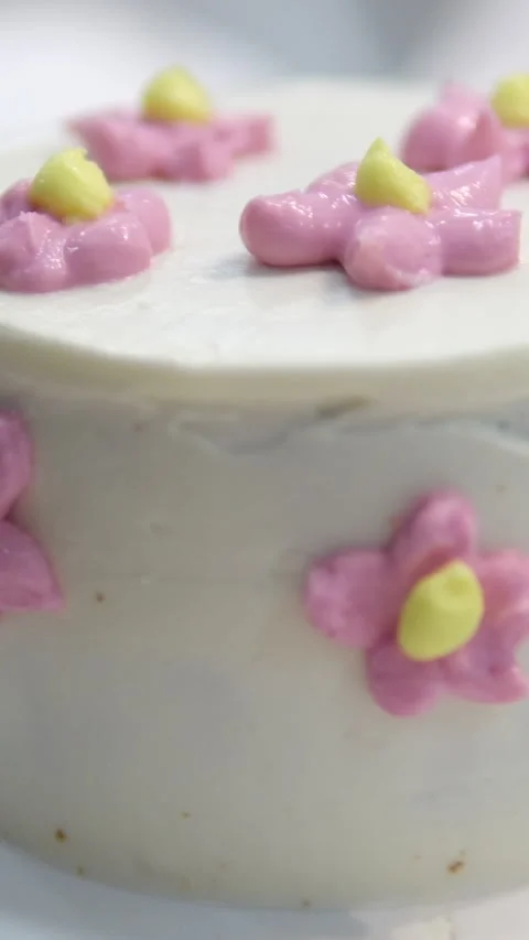 Korean Cooking Class Stock Videos – Royalty-Free HD & 4K Videos