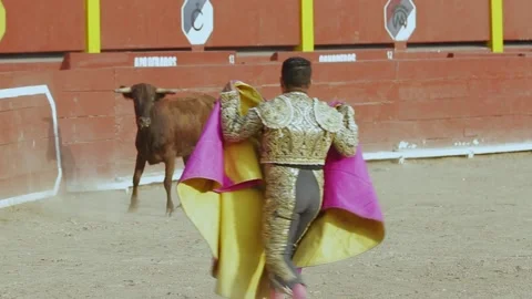 matador with a red cloth in his hands, ... | Stock Video | Pond5