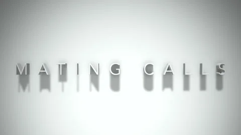 mating calls 3D title animation white te... | Stock Video | Pond5