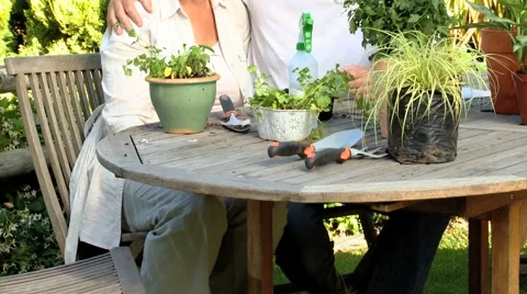 Mature Couples Posing Stock Videos – Royalty-Free HD & 4K Videos