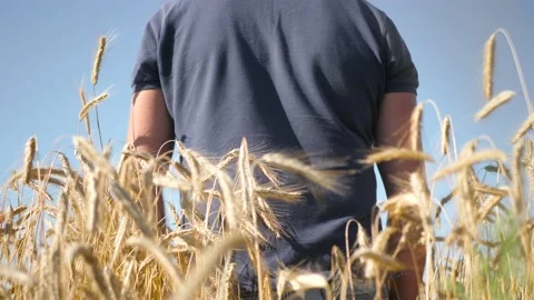 Down The Crop Stock Videos – Royalty-Free HD & 4K Videos