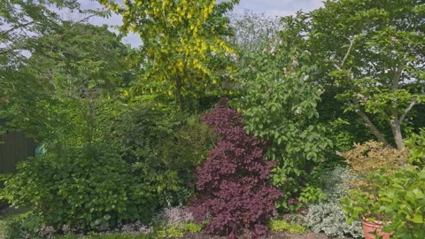 Mature Gb Stock Videos – Royalty-Free HD & 4K Videos | Pond5