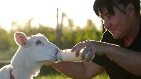 Teat Of Woman Stock Videos – Royalty-Free HD & 4K Videos