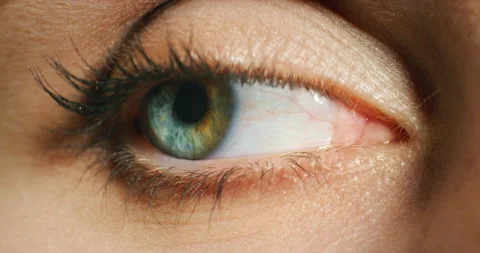 Zoom Into Eye Pupil Stock Videos – Royalty-Free HD & 4K Videos | Pond5