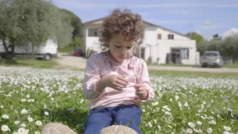 Frolic Stock Video Footage | Royalty Free Frolic Videos | Pond5