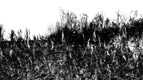 Grass Effect Paper Stock Videos – Royalty-Free HD & 4K Videos