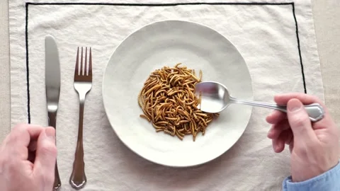 Mealworm. Insect protein. Man eating wor... | Stock Video | Pond5