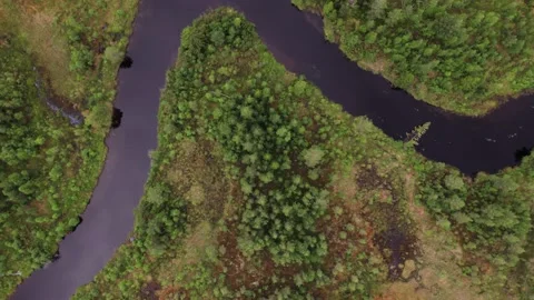 Meander river in wetlands aerial 4K | Stock Video | Pond5