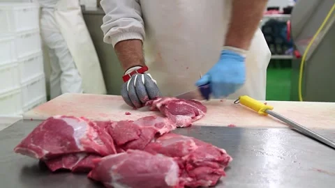 Chainmail Stock Video Footage | Royalty Free Chainmail Videos | Pond5