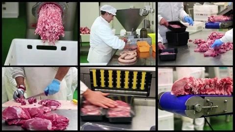 Meat Processing Stock Footage ~ Royalty Free Stock Videos | Pond5