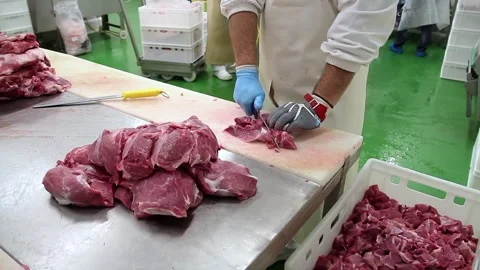 Chainmail Stock Video Footage | Royalty Free Chainmail Videos | Pond5