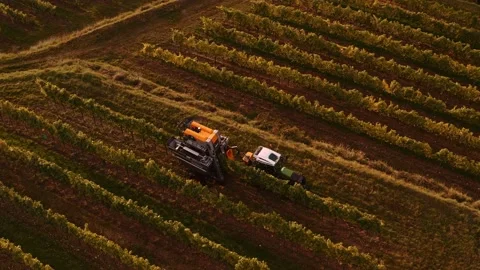 Mechanical grape picker pulled by tracto... | Stock Video | Pond5