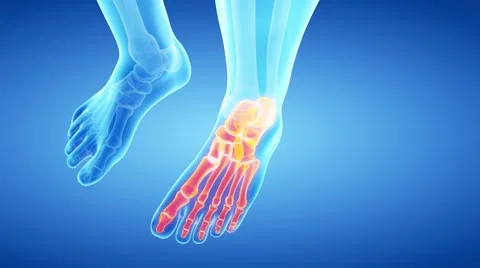 Medical Animation Foot Stock Footage ~ Royalty Free Stock Videos | Pond5